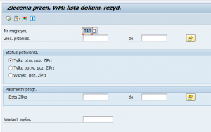 SAP dla początkujących - warianty i układy wyświetlania - SPS Blog